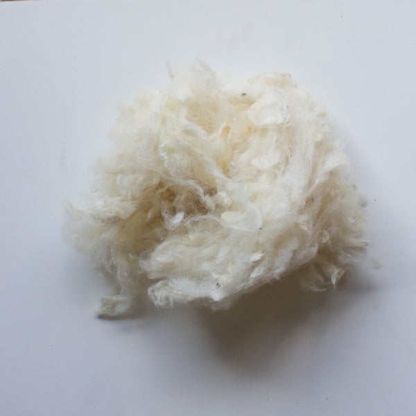 Organic Scoured Romney Wool - Garthenor Organic